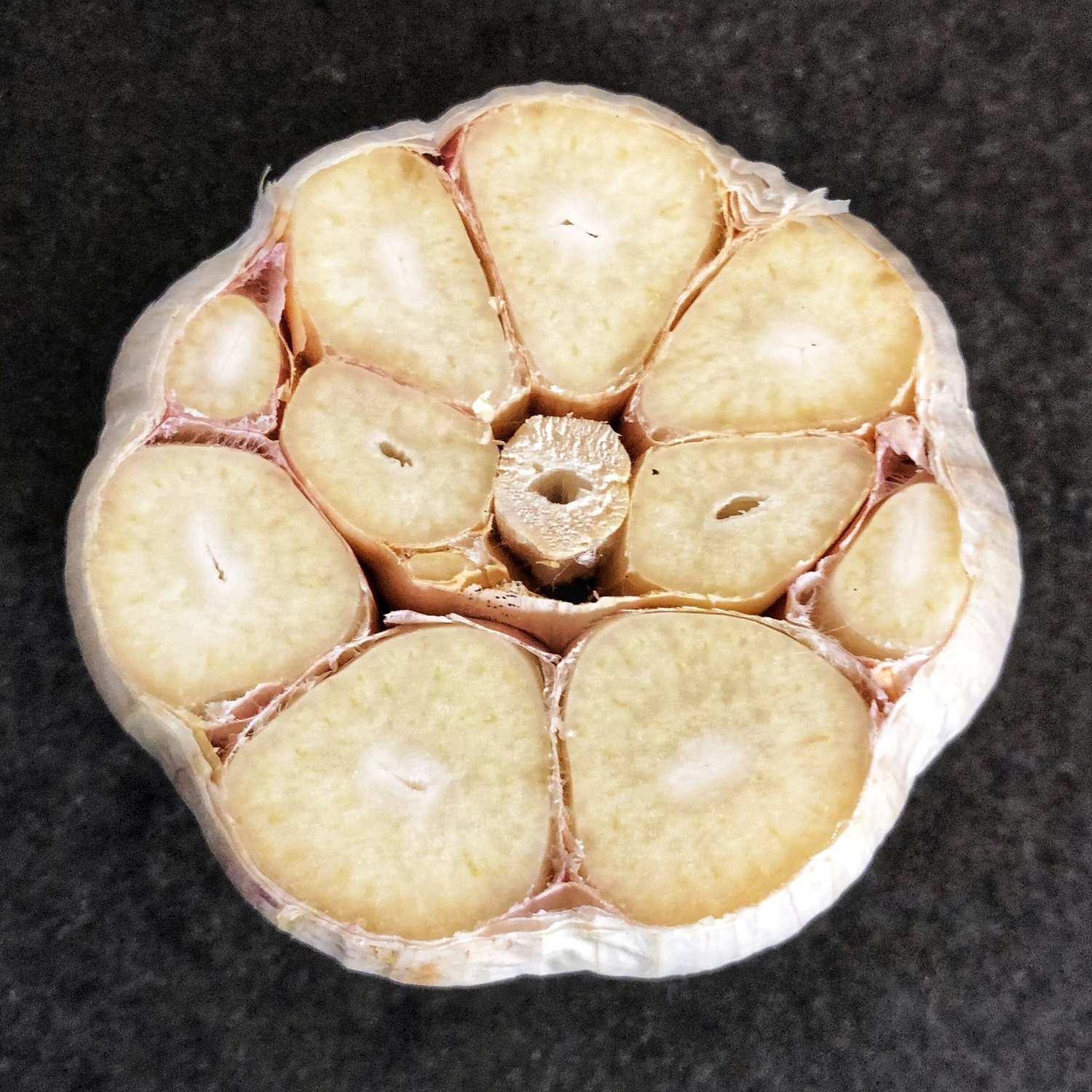 Our Garlic — Orie's Farm Fresh