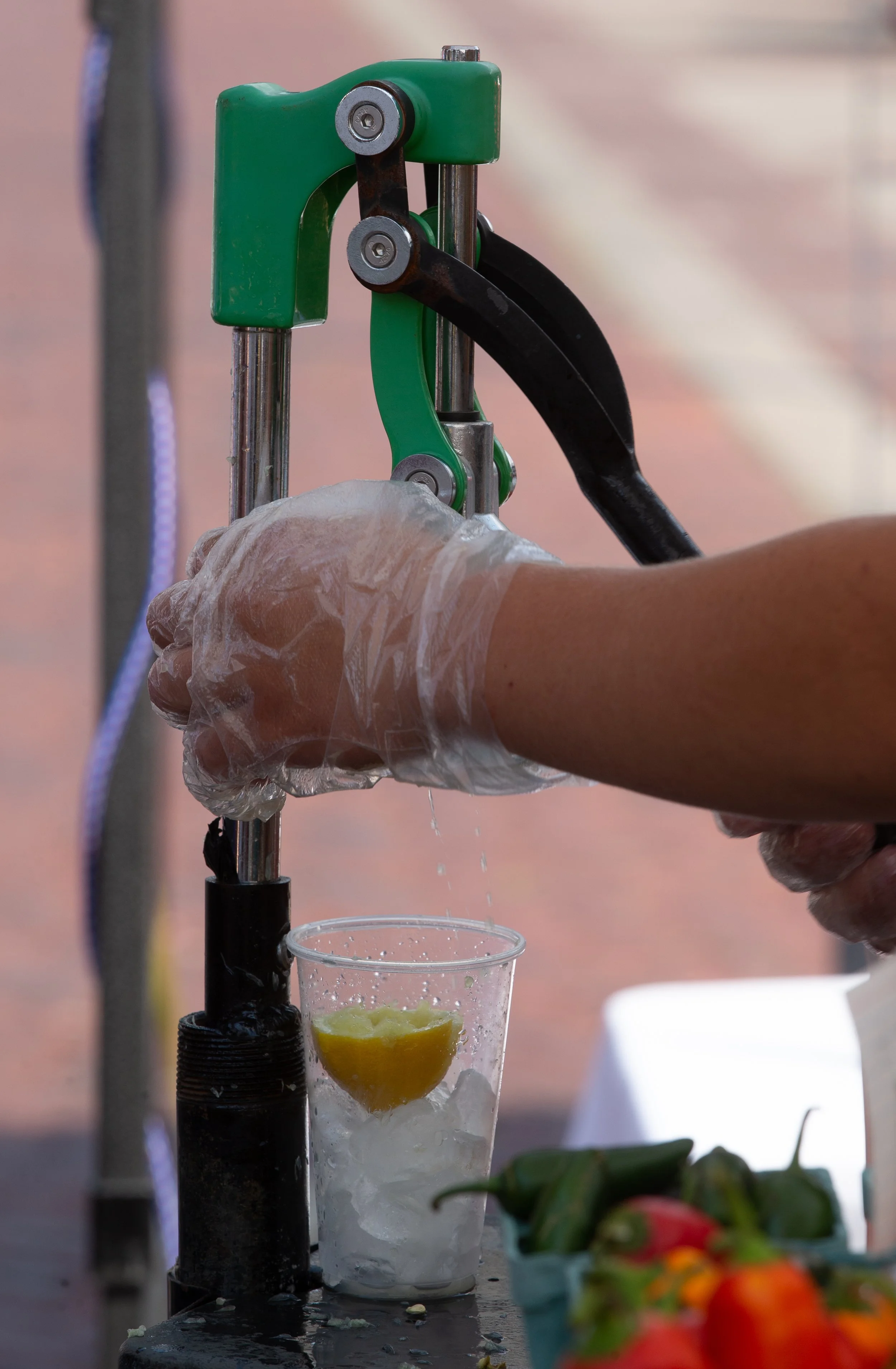 Orie's Garlic Fest — Orie's Farm Fresh