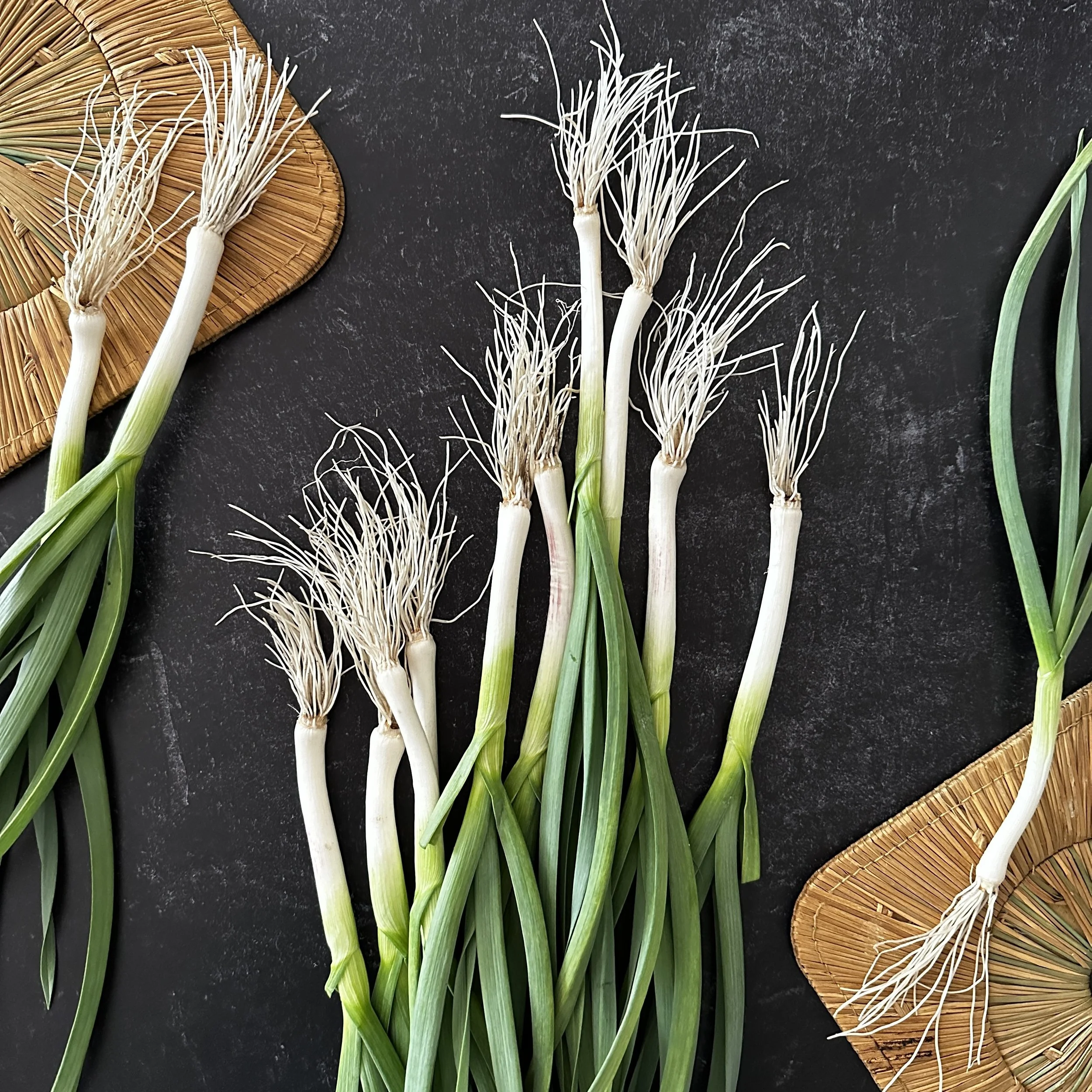 Our Garlic | Explore Fresh Garlic Today — Orie's Farm Fresh