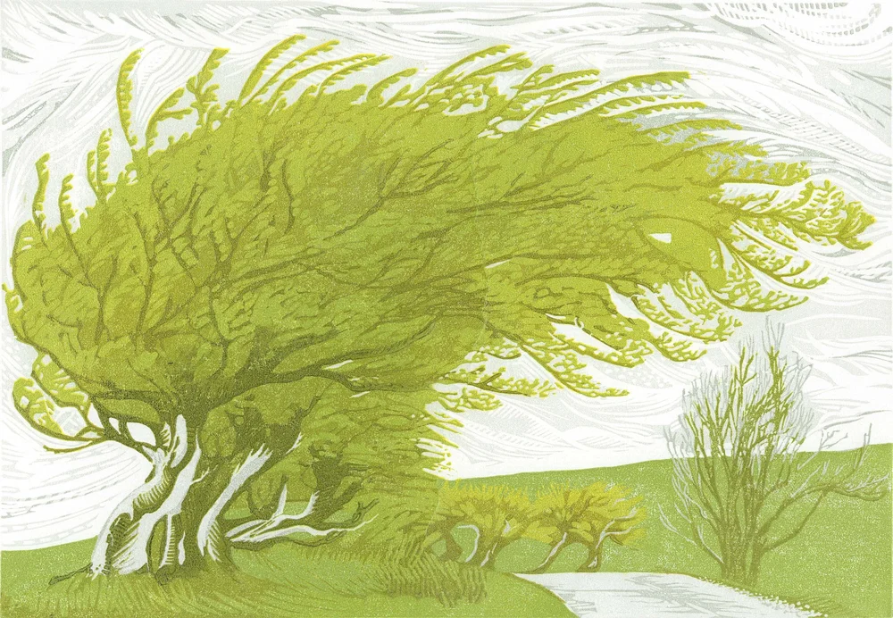 Cat Moore Printmaker