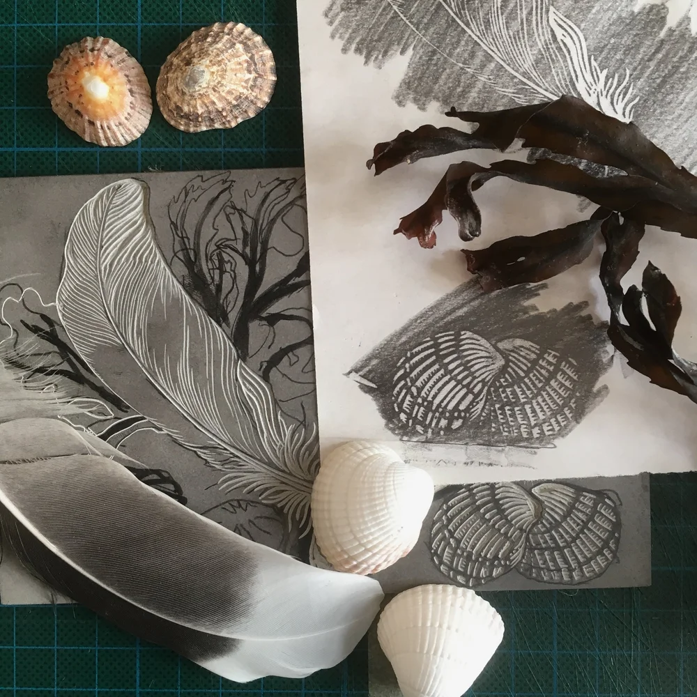 Cat Moore Printmaker