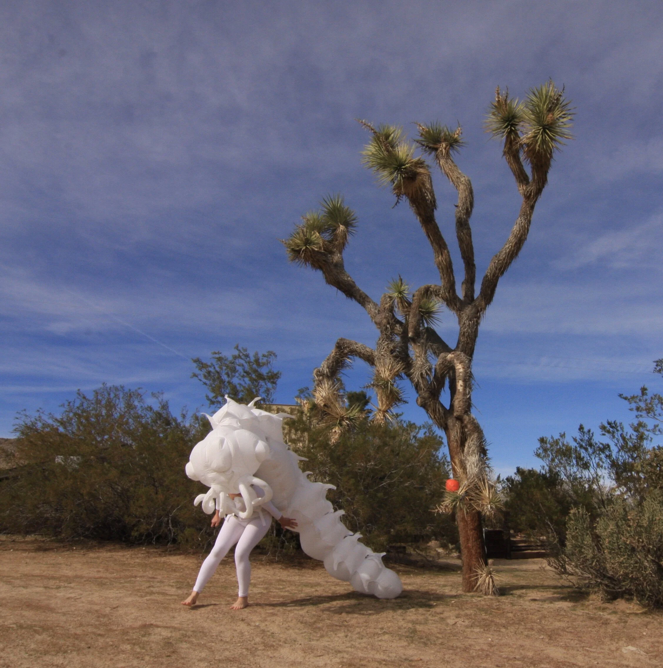 Open Calls — Amplify Arts