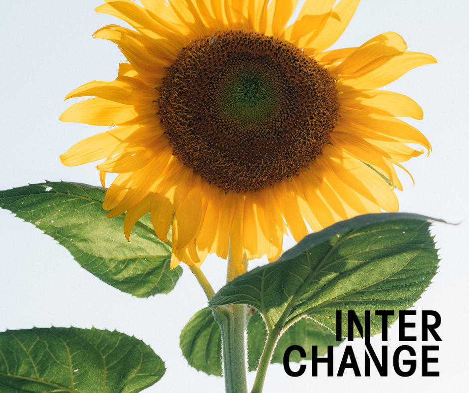 News & Events — Amplify Arts