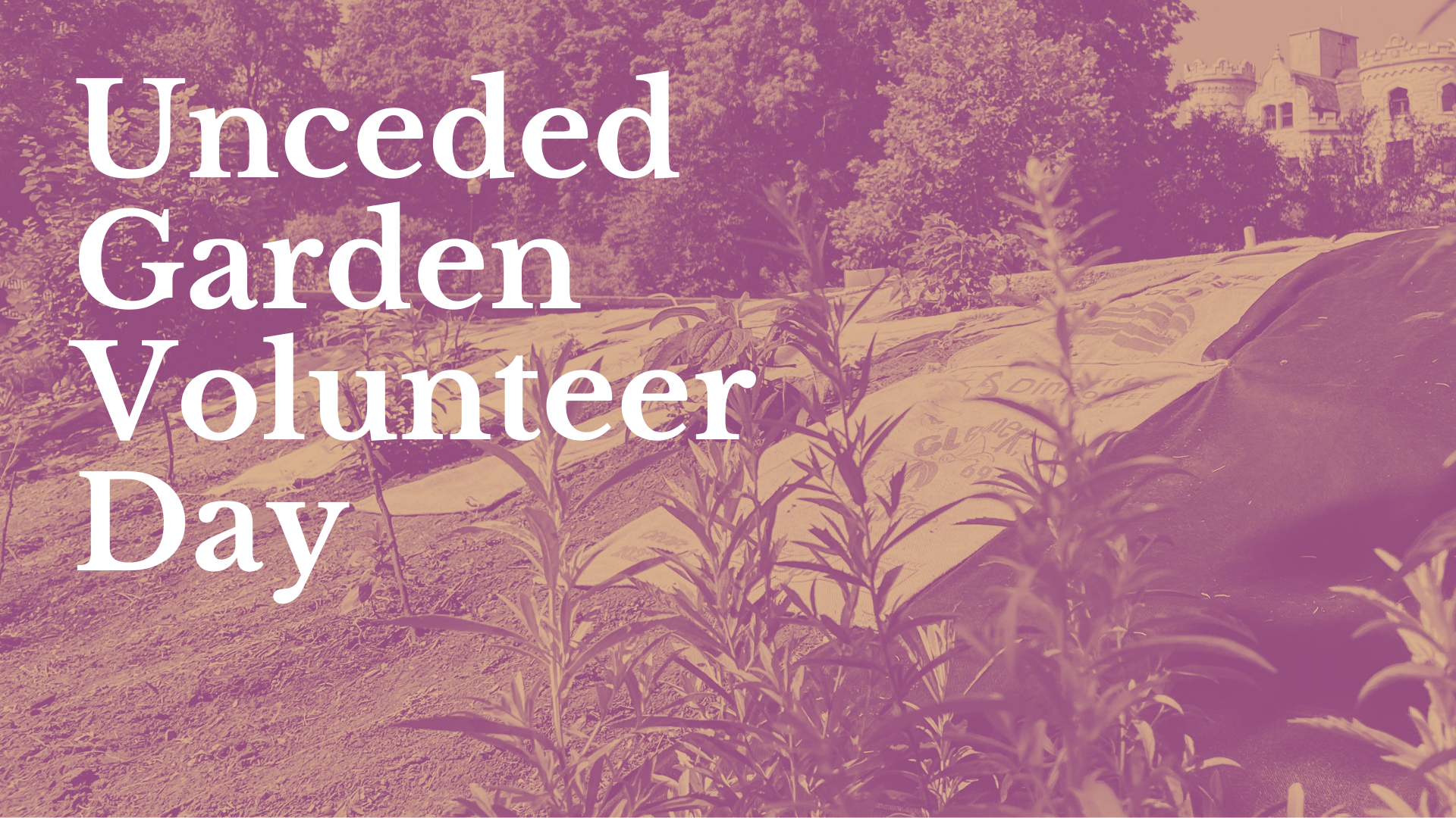 Unceded Garden Volunteer Day — Amplify Arts