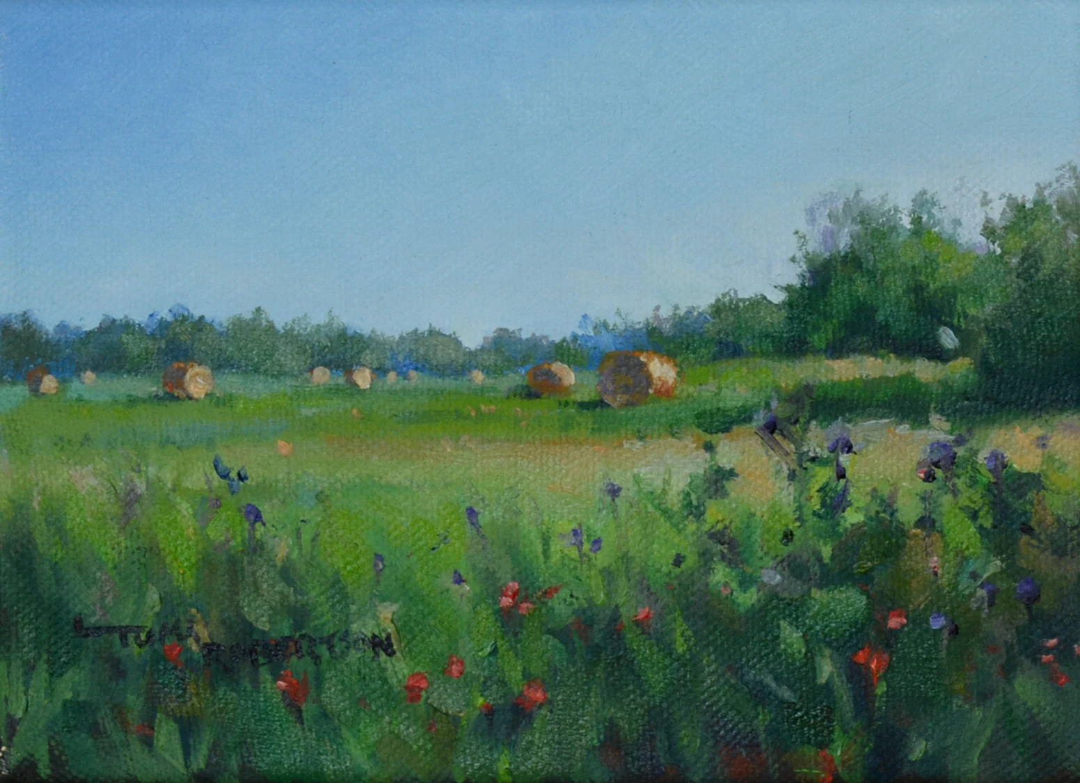 Linda Tuma Robertson — The Howell Gallery of Fine Art