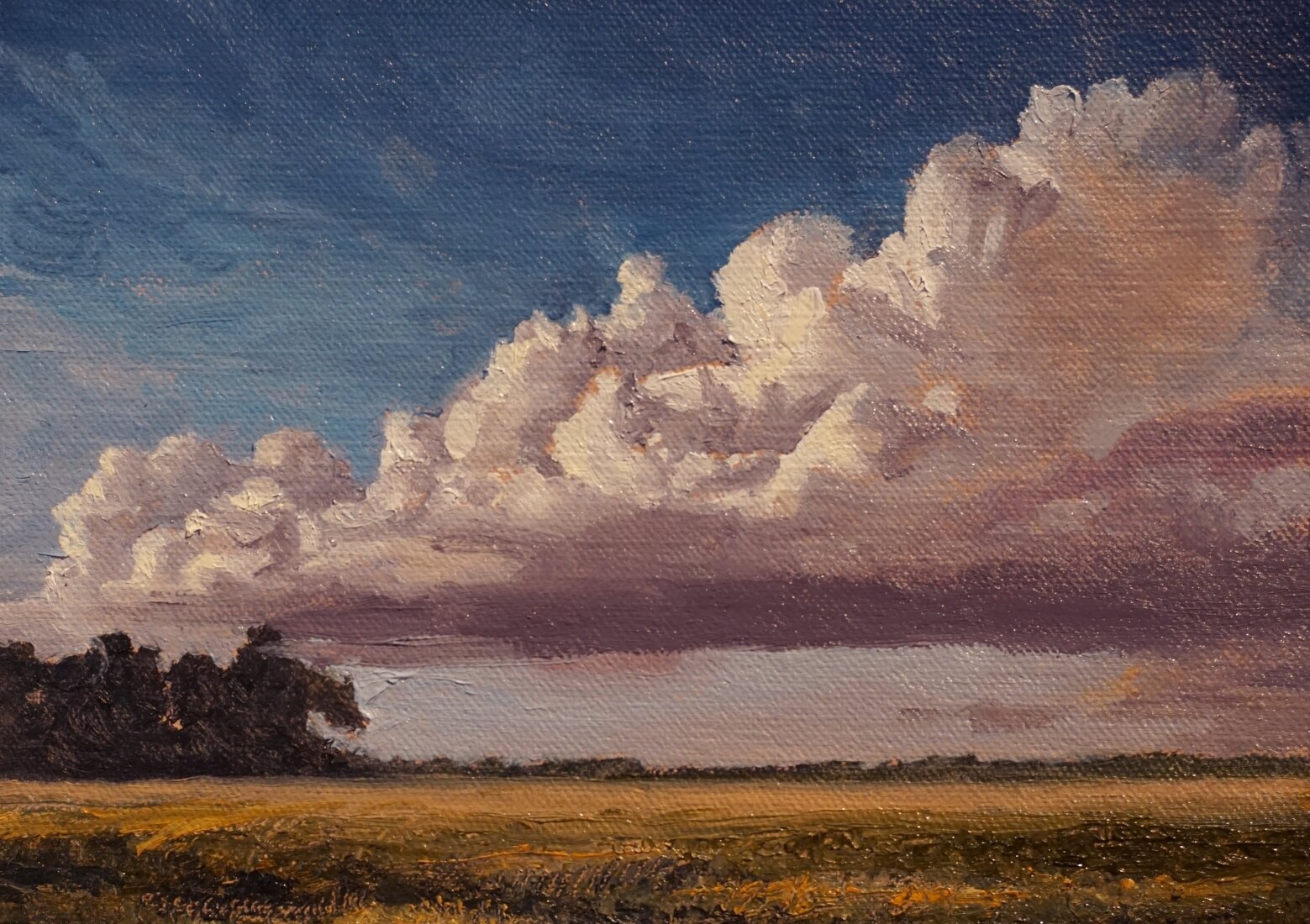 David Holland — The Howell Gallery of Fine Art