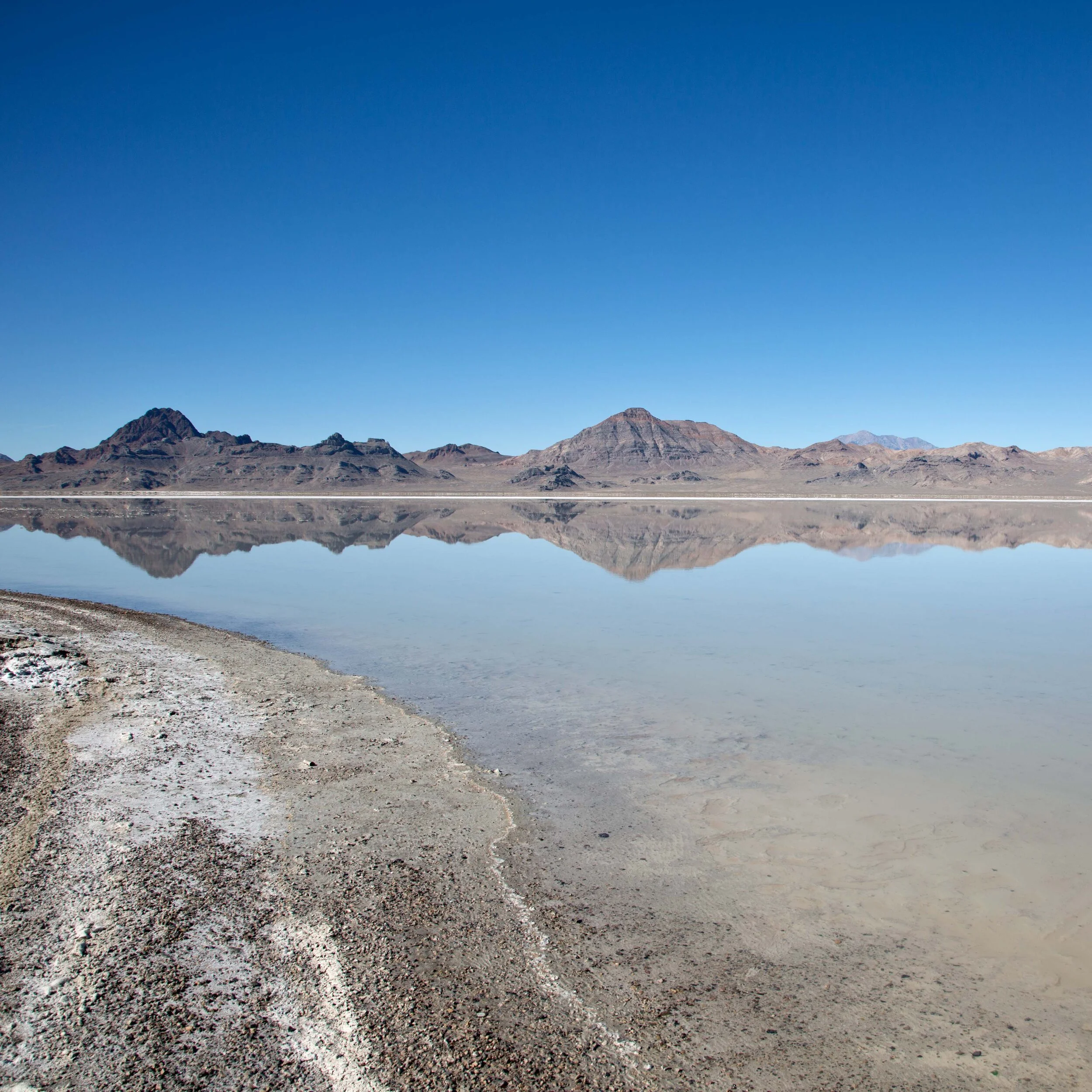 LANDSCAPE OF SALT — DIANE BURKO