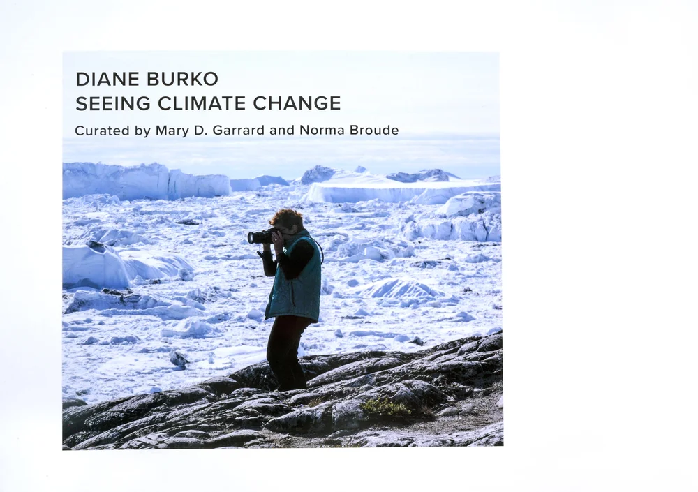 AU SEEING CLIMATE CHANGE — DIANE BURKO