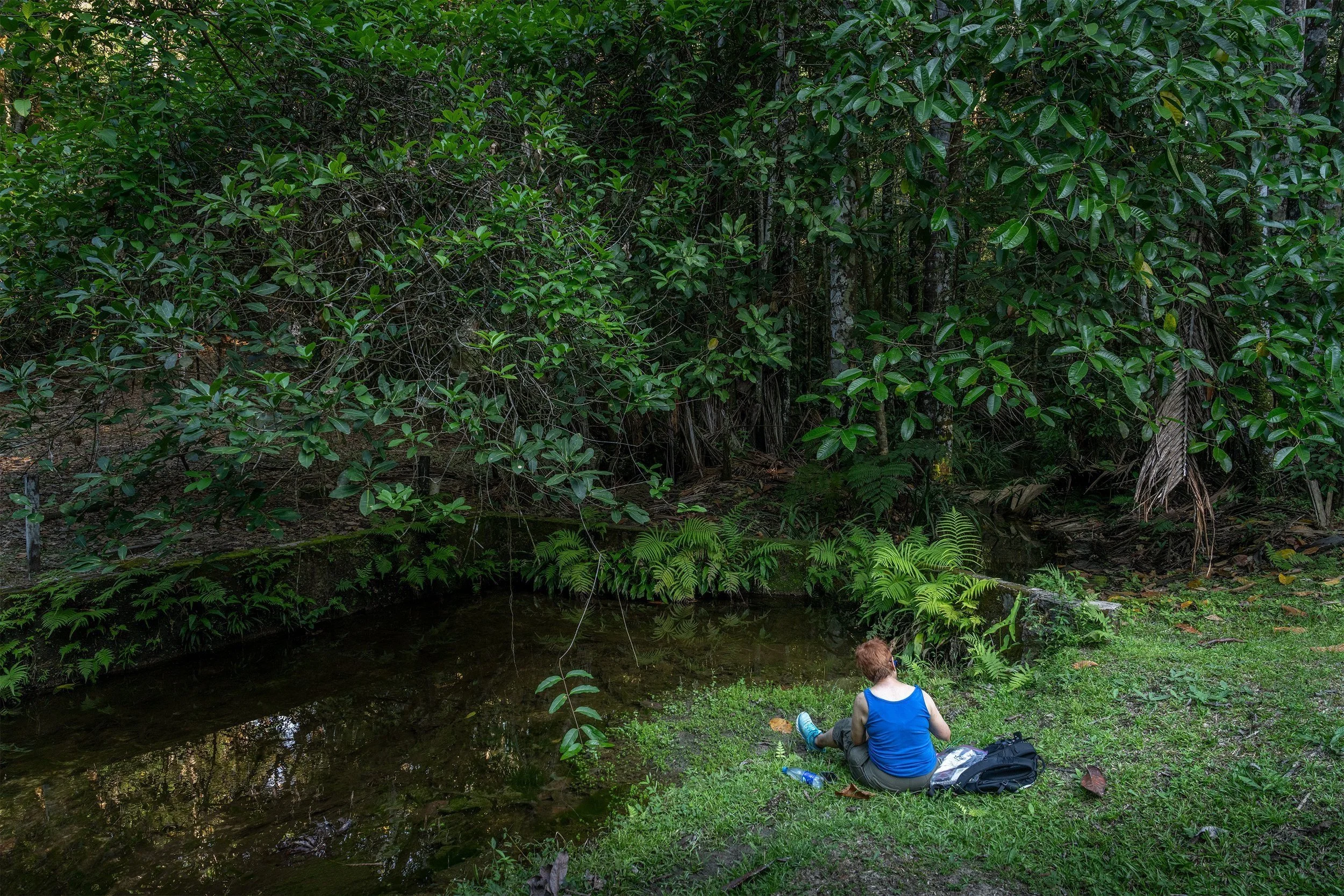 ABOUT: BEARING WITNESS — DIANE BURKO