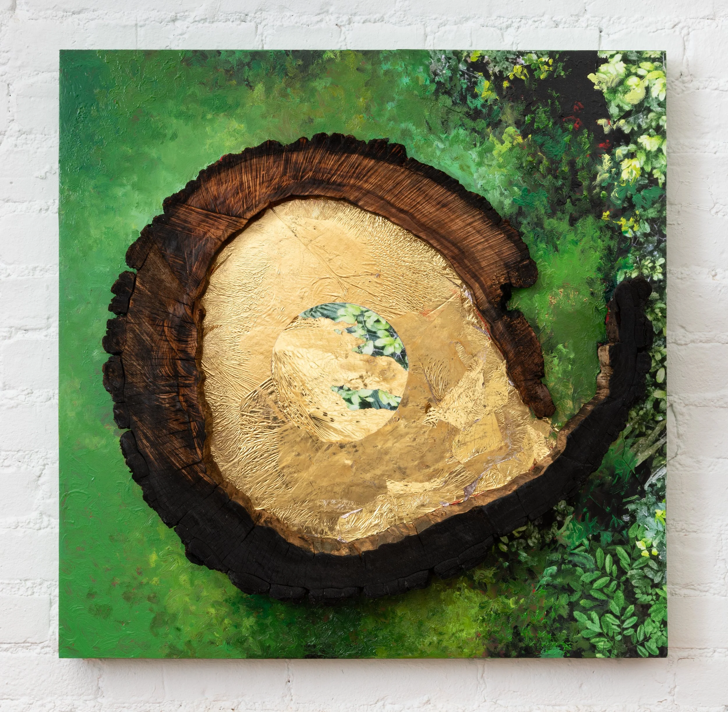 DIANE BURKO: BEARING WITNESS AT CRISTIN TIERNEY GALLERY — DIANE BURKO