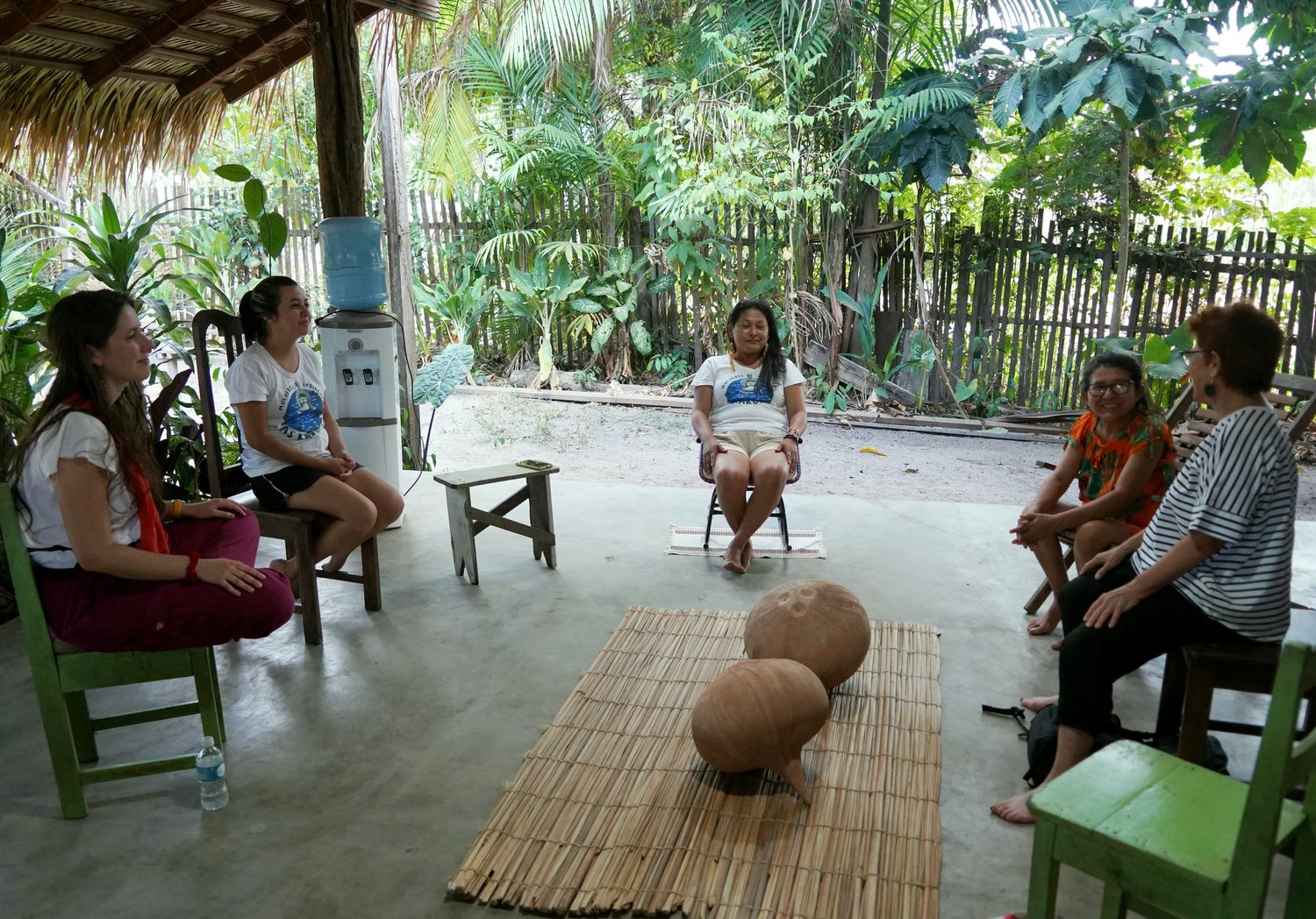 Diane Burko Research: Amazon Rainforest — DIANE BURKO