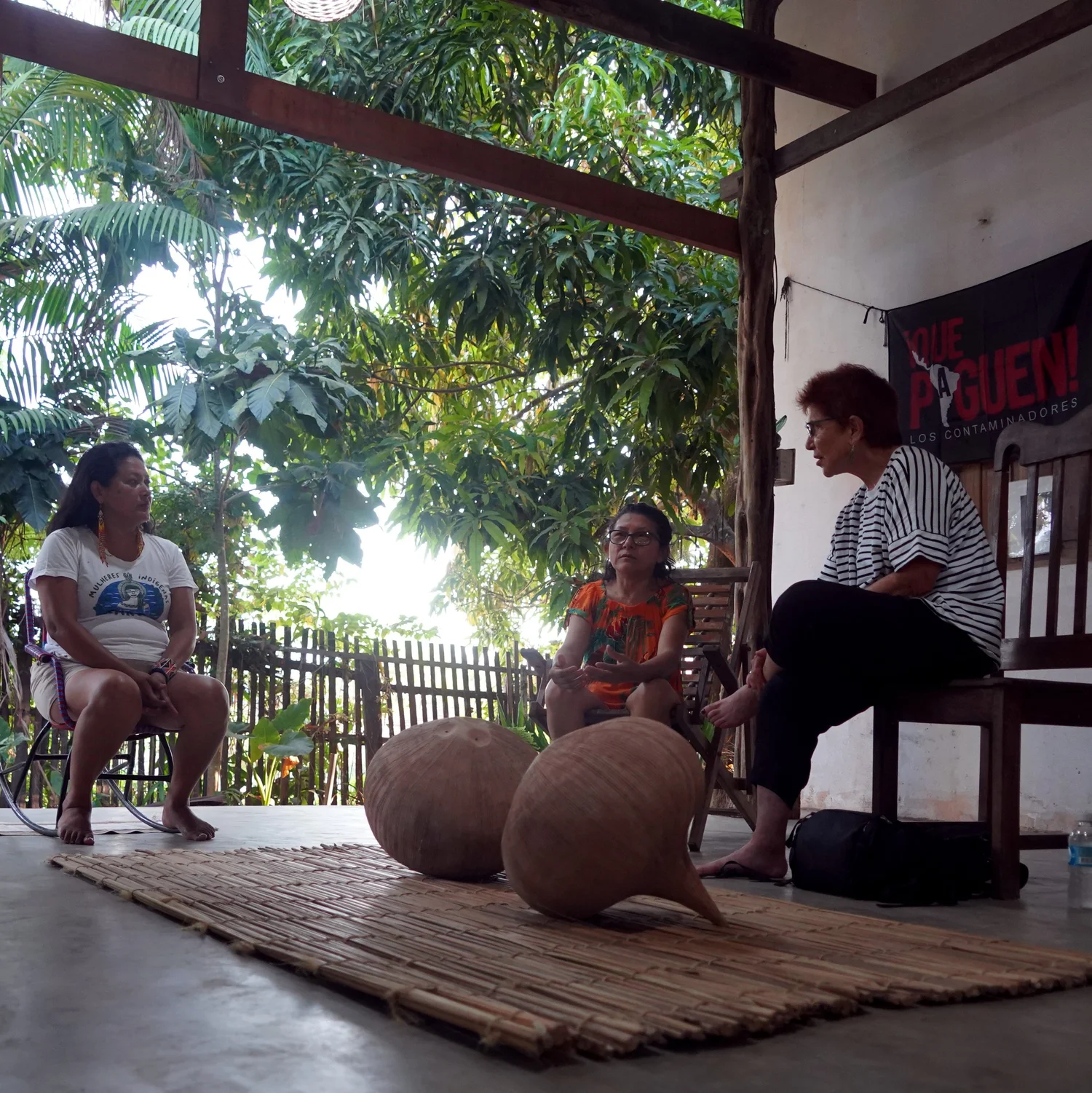 Diane Burko Research: Amazon Rainforest — DIANE BURKO