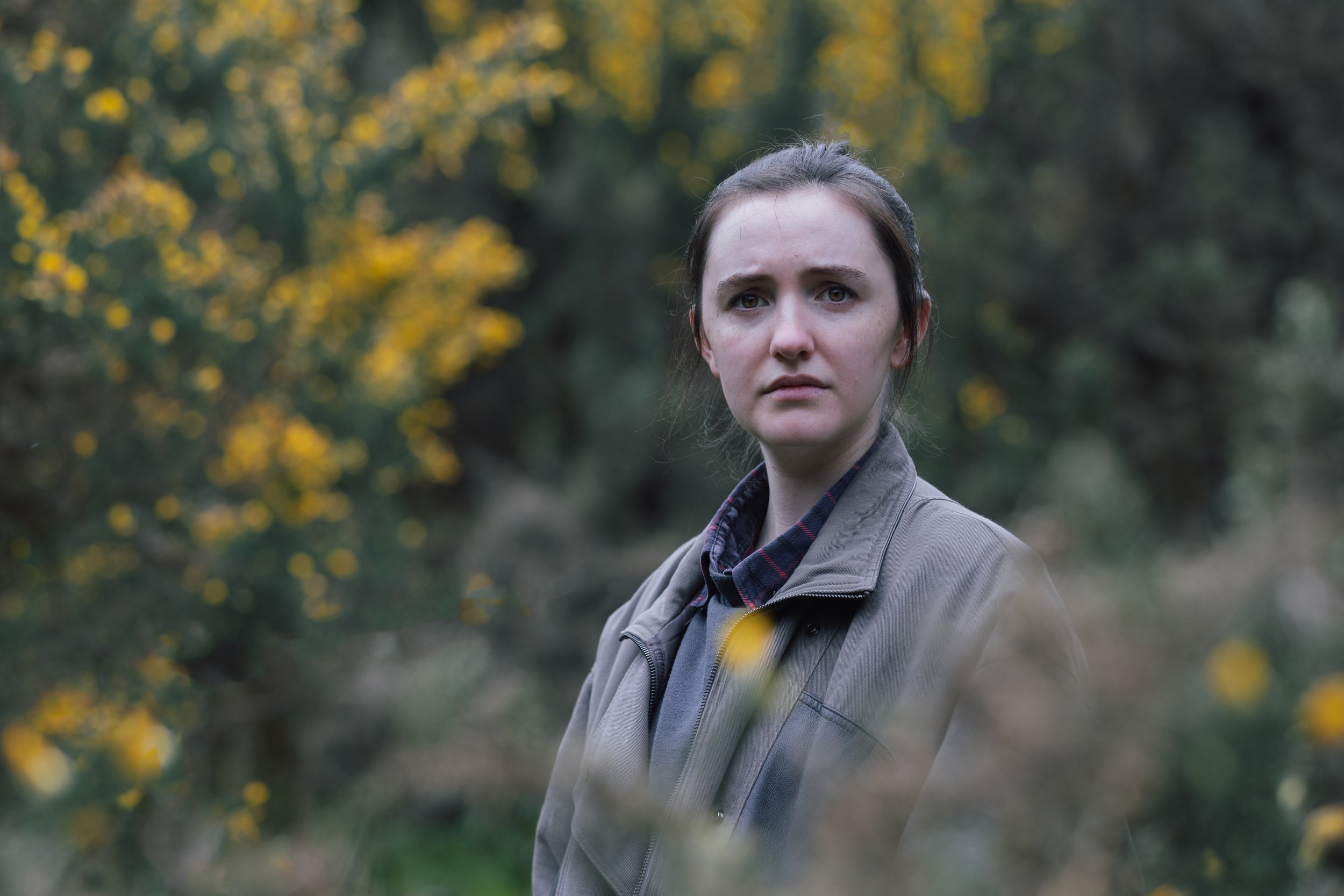 The Hare — ONCE OFF PRODUCTIONS