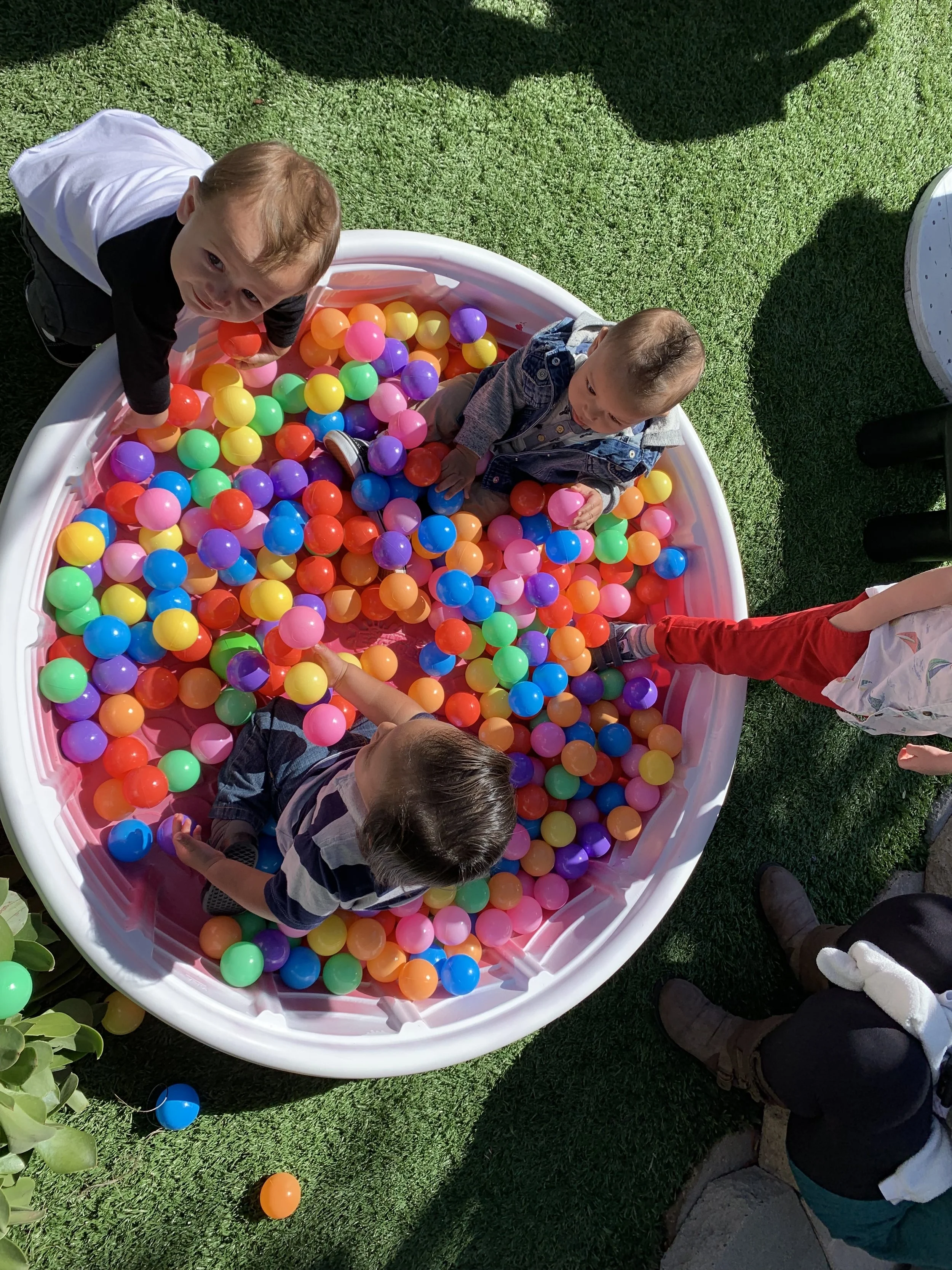 How to plan a first birthday party! (Party animal theme) — Motherhood