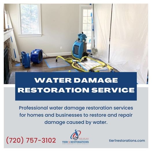 Reliable Water Damage Restoration & Mold Remediation Services