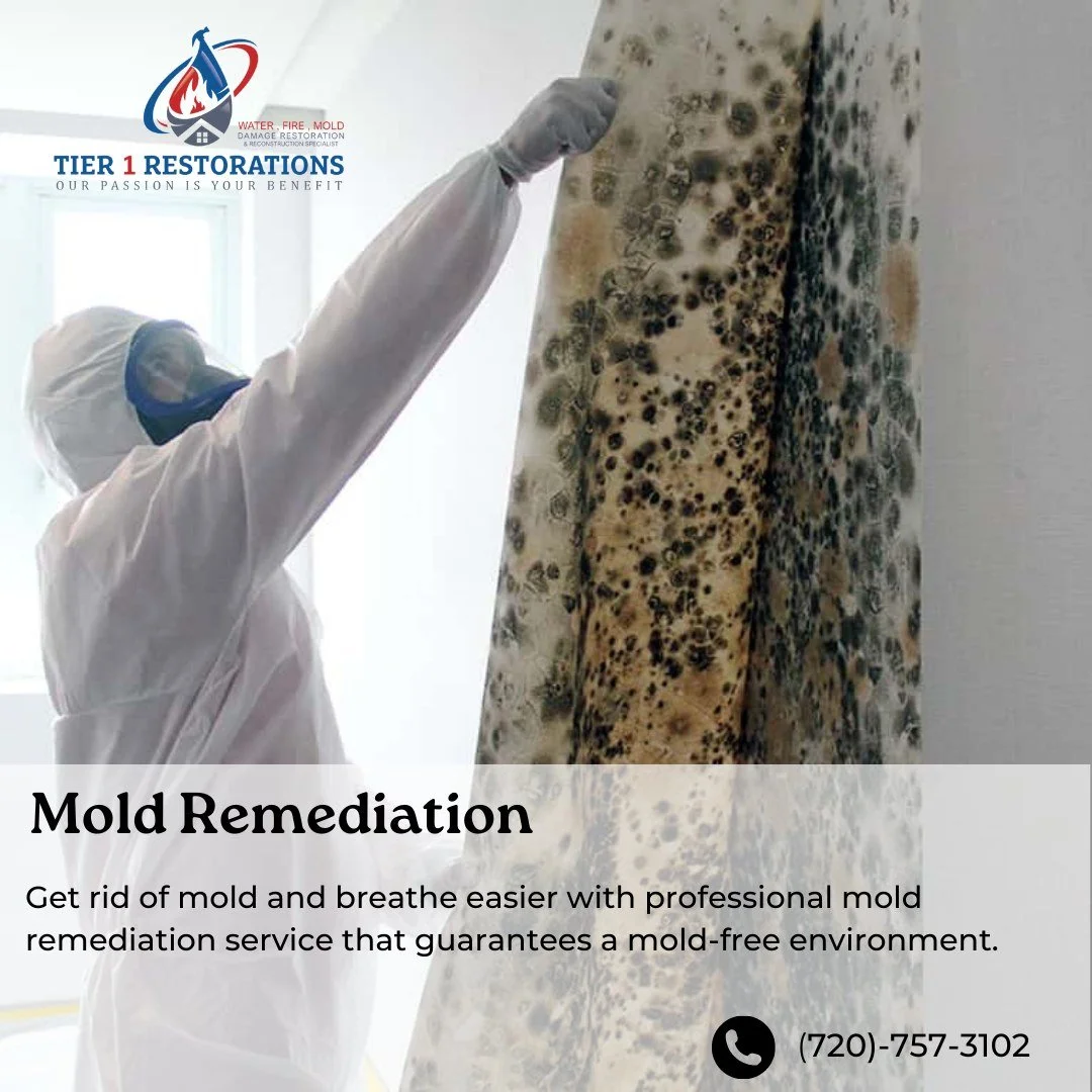 Reliable Water Damage Restoration & Mold Remediation Services