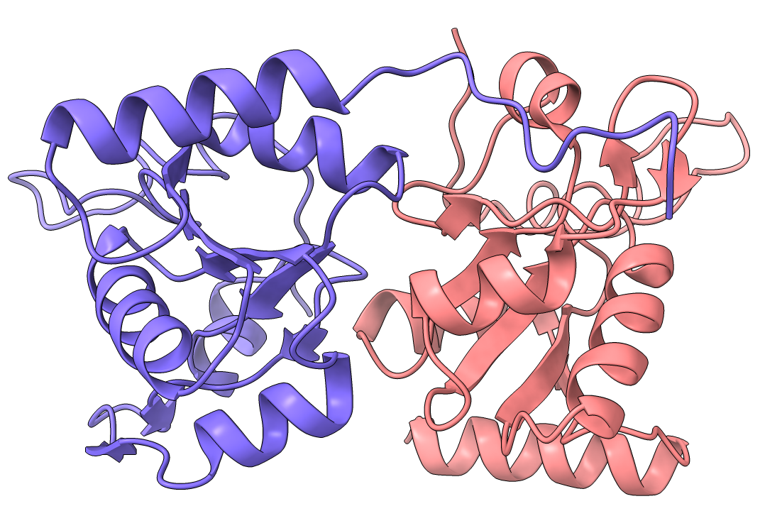 Structure Gallery — Giessen Lab