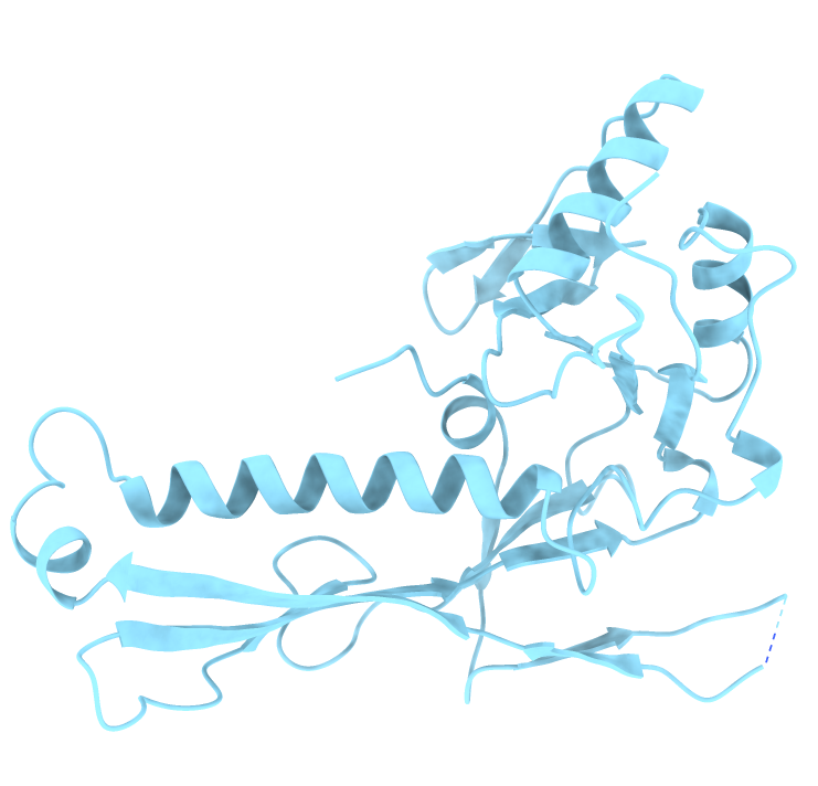 Structure Gallery — Giessen Lab