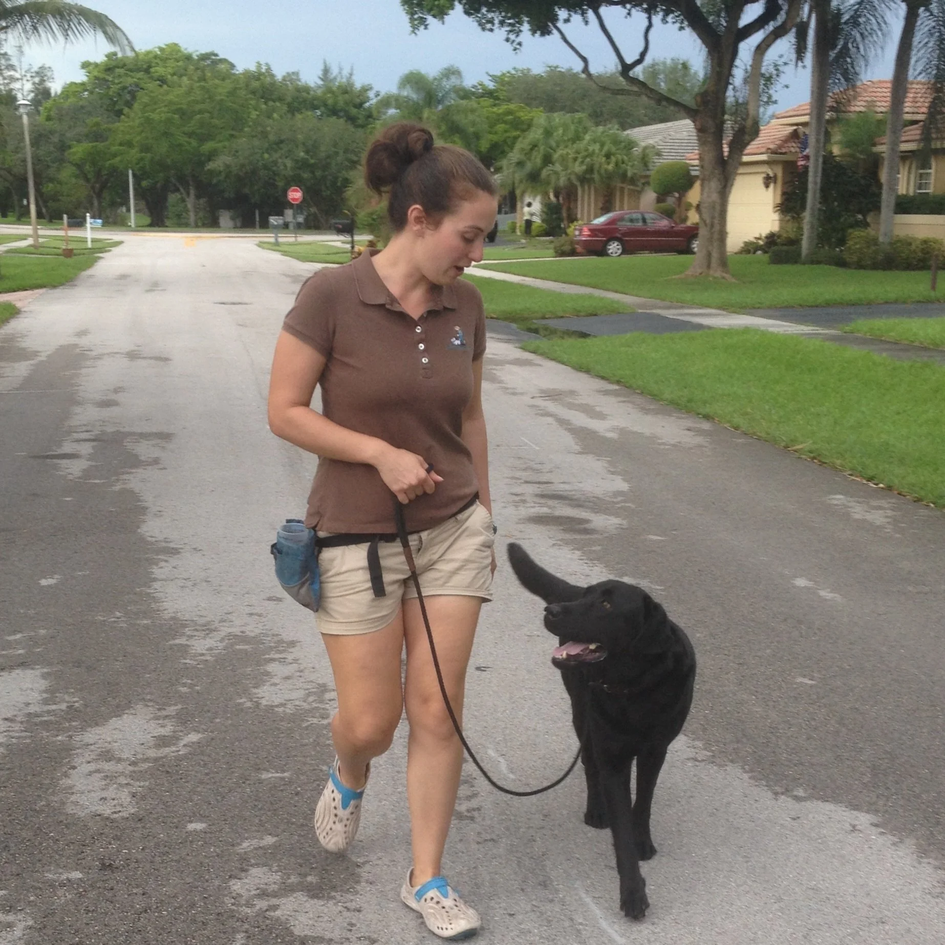 Dog Training Fort Worth-Paws on Training LLC