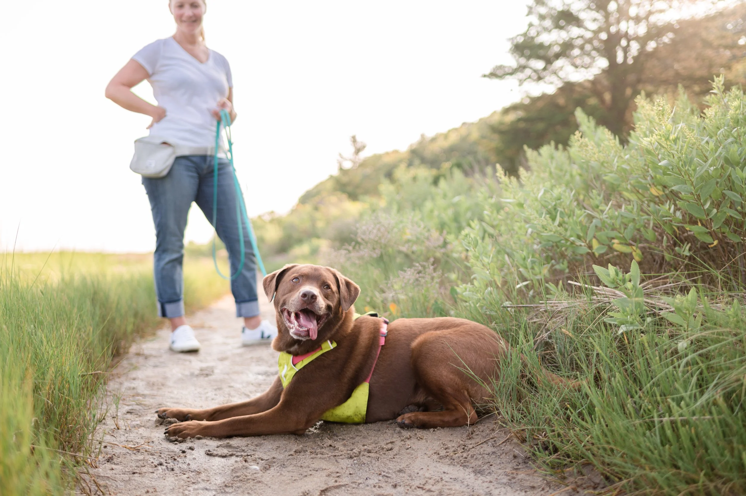 Dogminded - Modern Training for Dogs and Their People