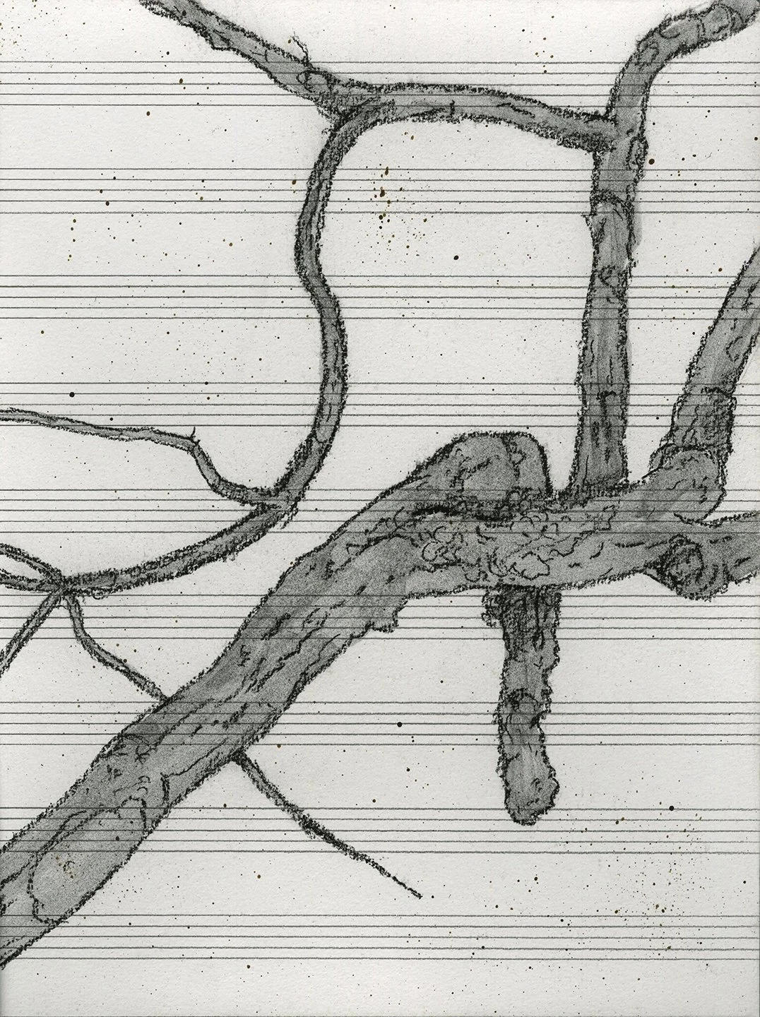 This Tree a Gift — Adam Farcus