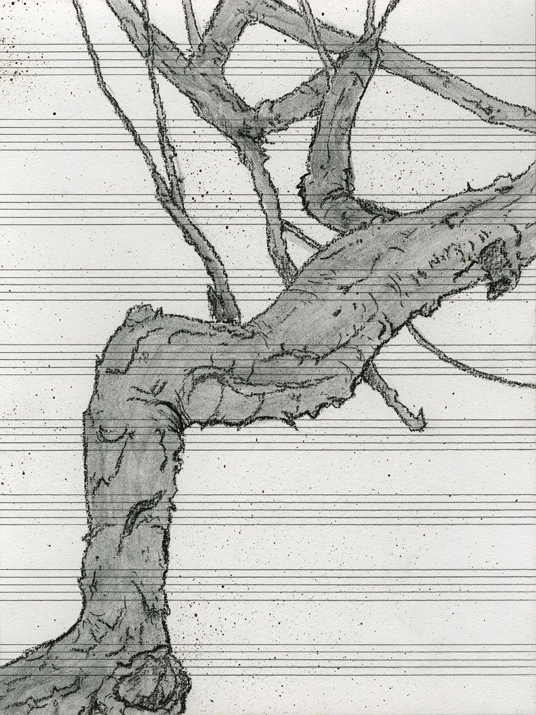 This Tree a Gift — Adam Farcus