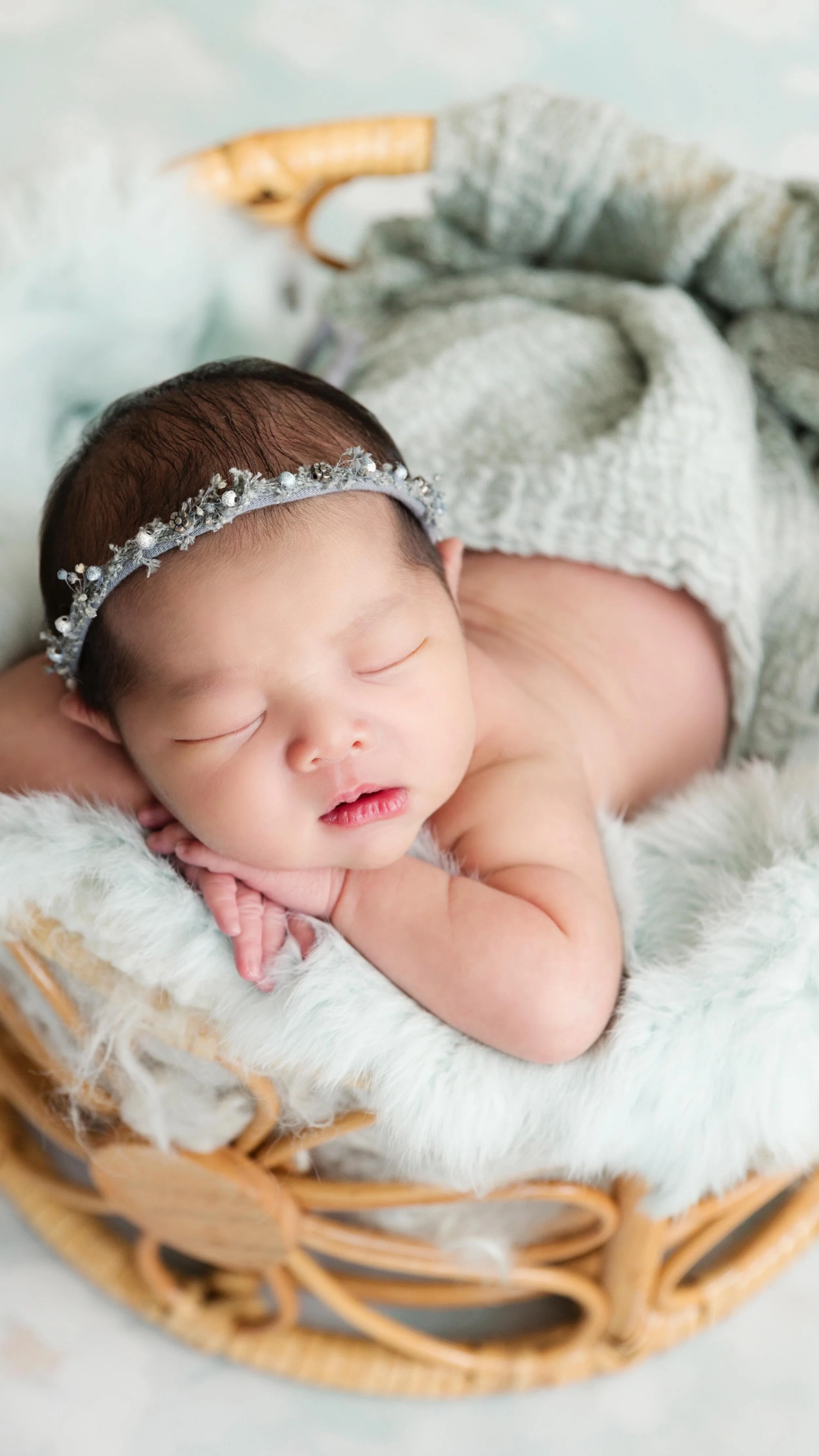 Little Elephant Studio-Gallery