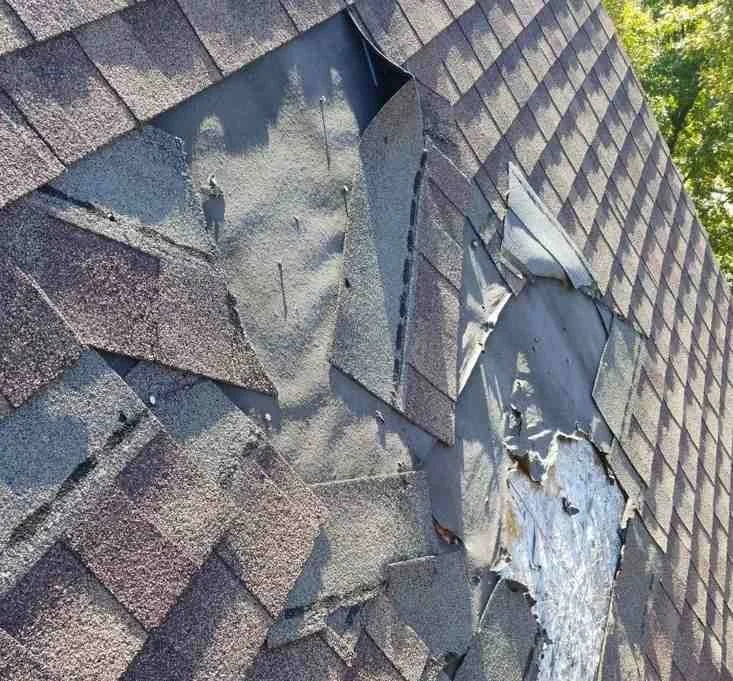 How to handle wind damage on your roof | One Day Roofing
