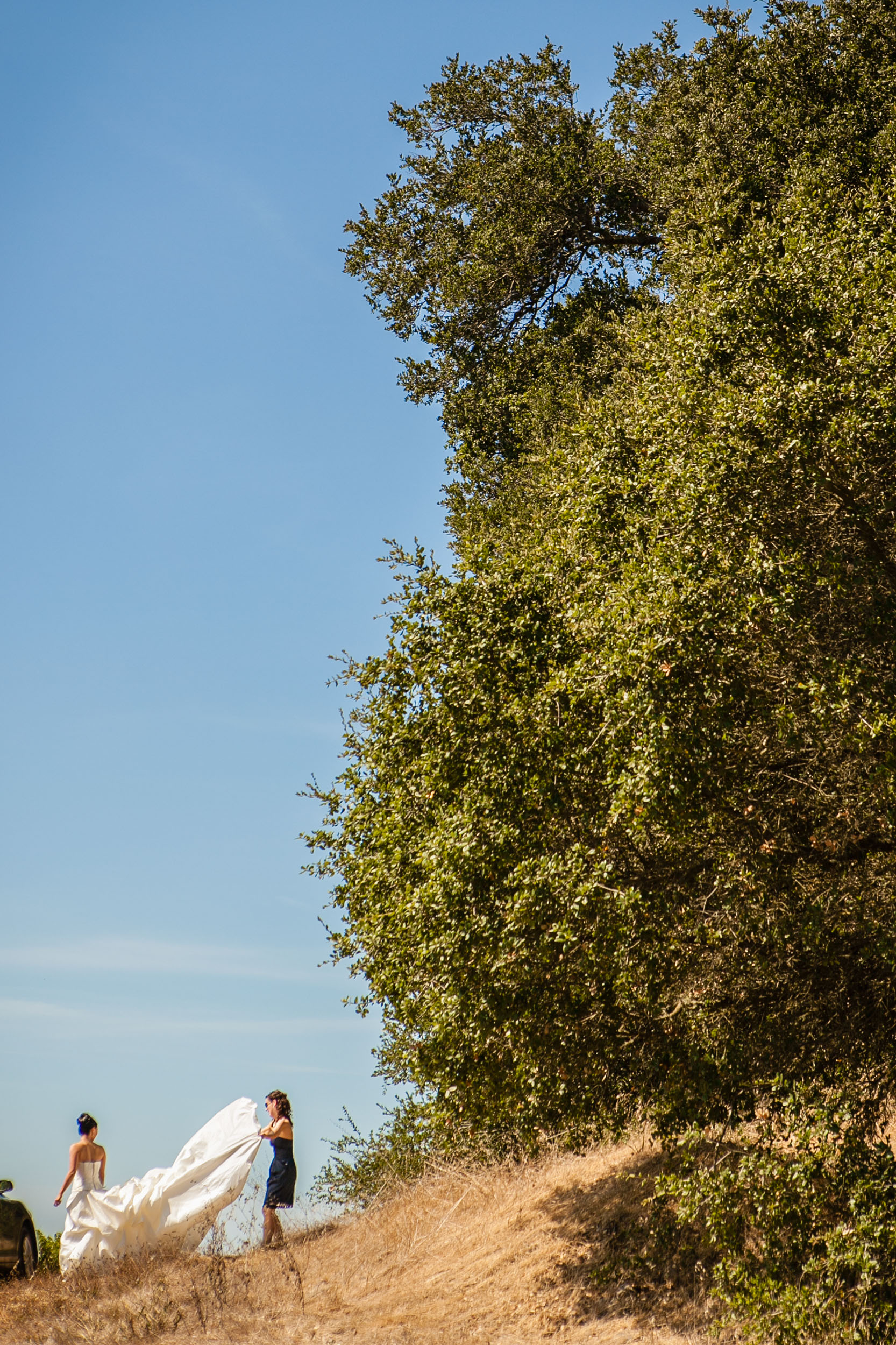Preparation — Tim Daw Weddings