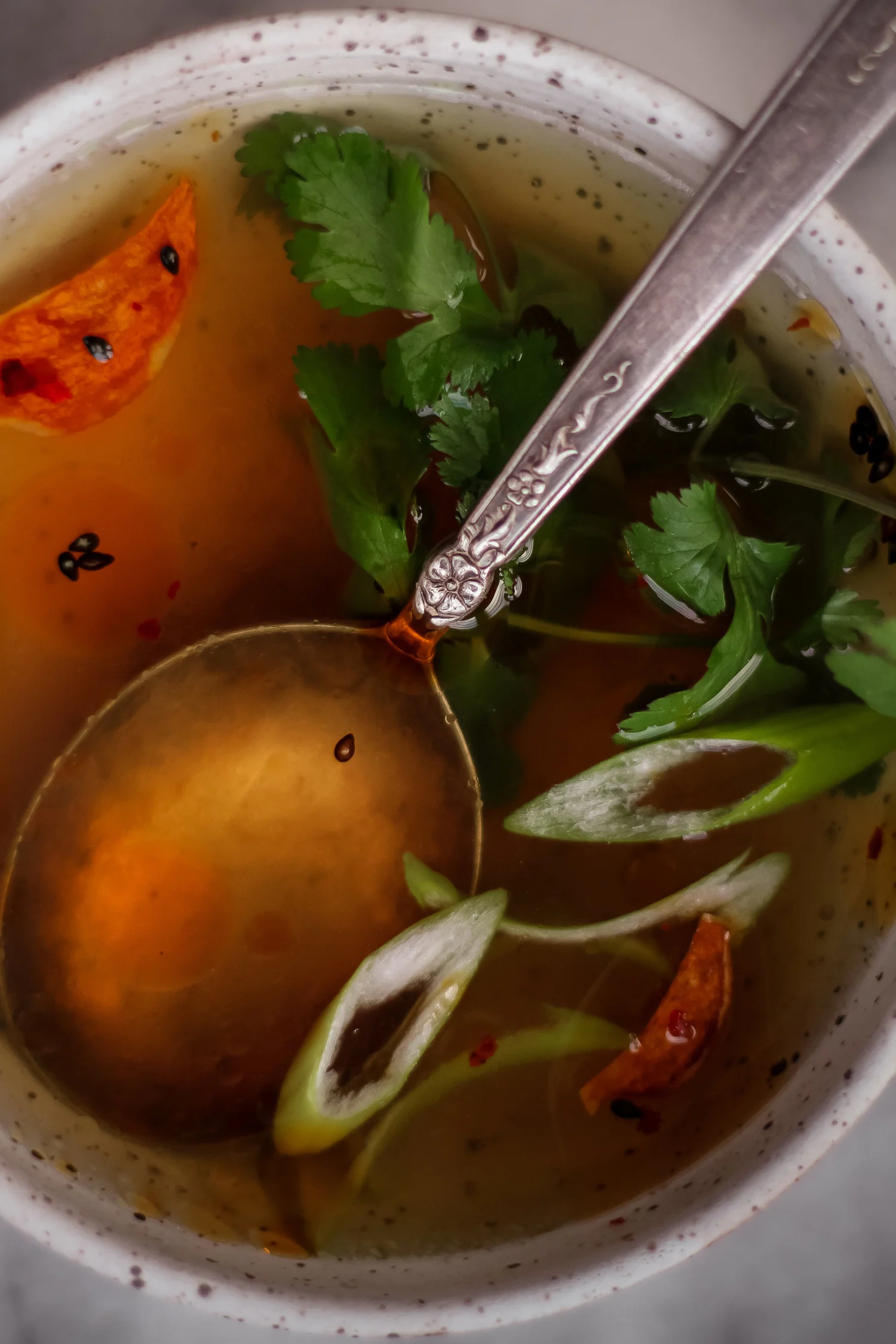 Scallion Ginger Bone Broth - a highly drinkable broth — Inherited Salt