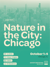 Nature in the City: Chicago — Wander Women Midwest