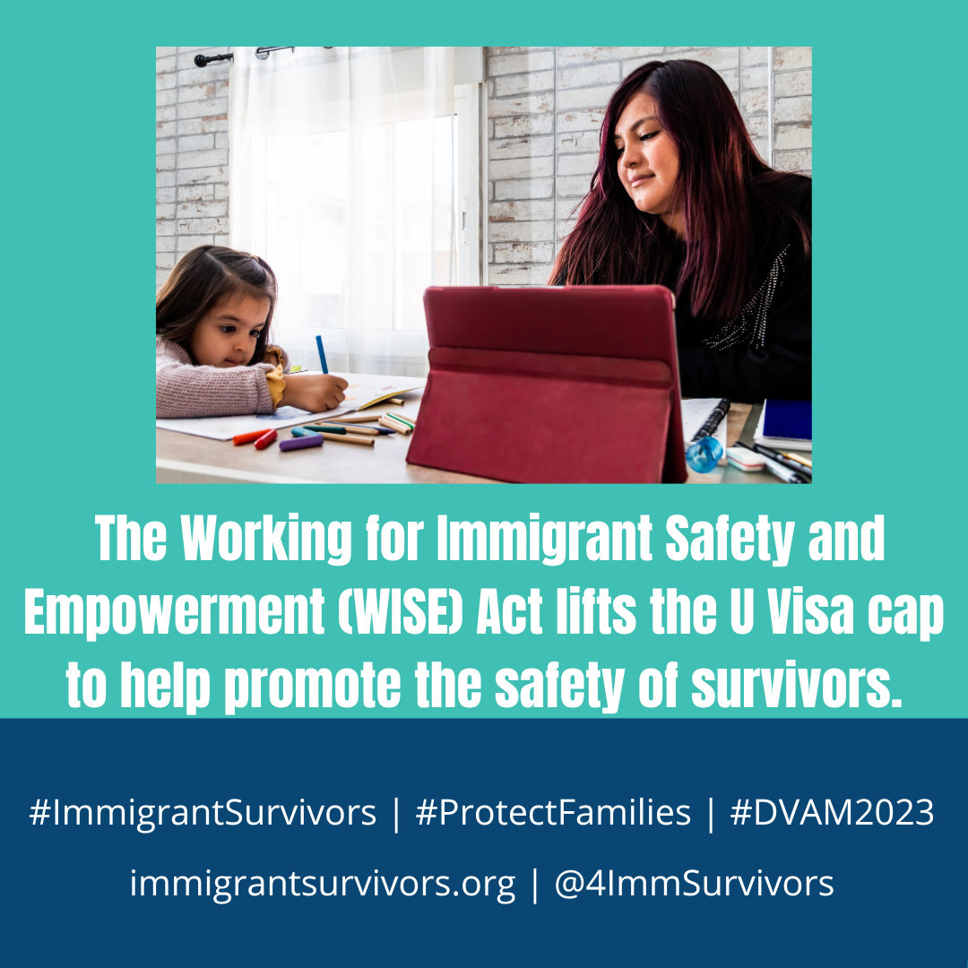 WISE — Alliance For Immigrant Survivors