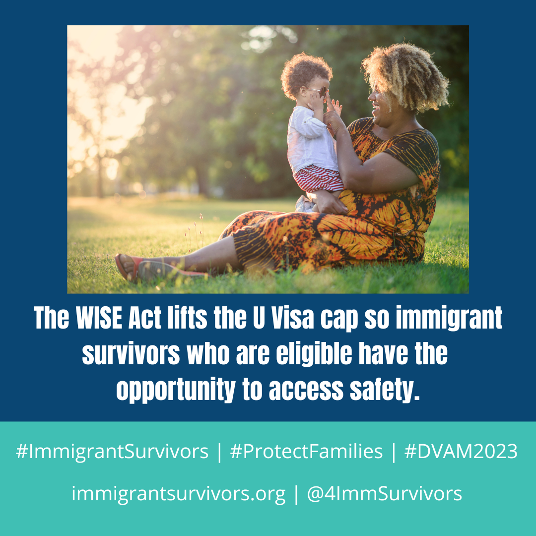 WISE — Alliance For Immigrant Survivors