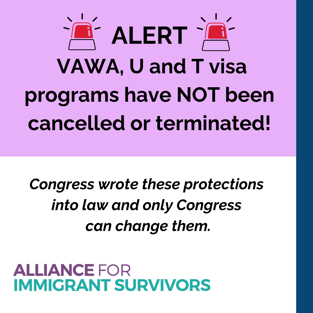 Alliance For Immigrant Survivors
