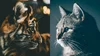 Tame vs Domesticated: Why Knowing the Difference Matters | GAIAVETS
