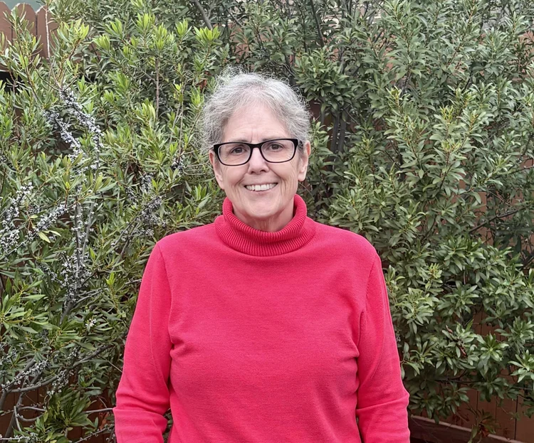 Susan Lee — Rock Retirement Club