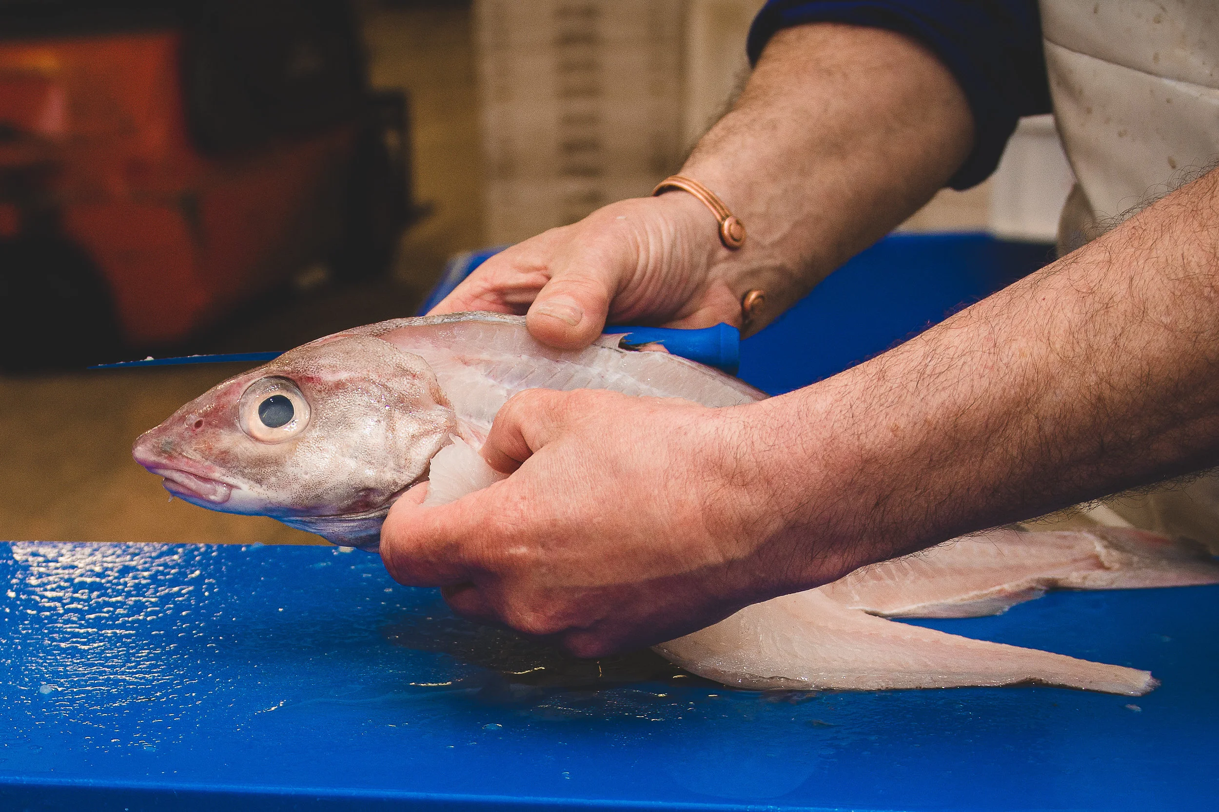 Seafood processor — Sea Source