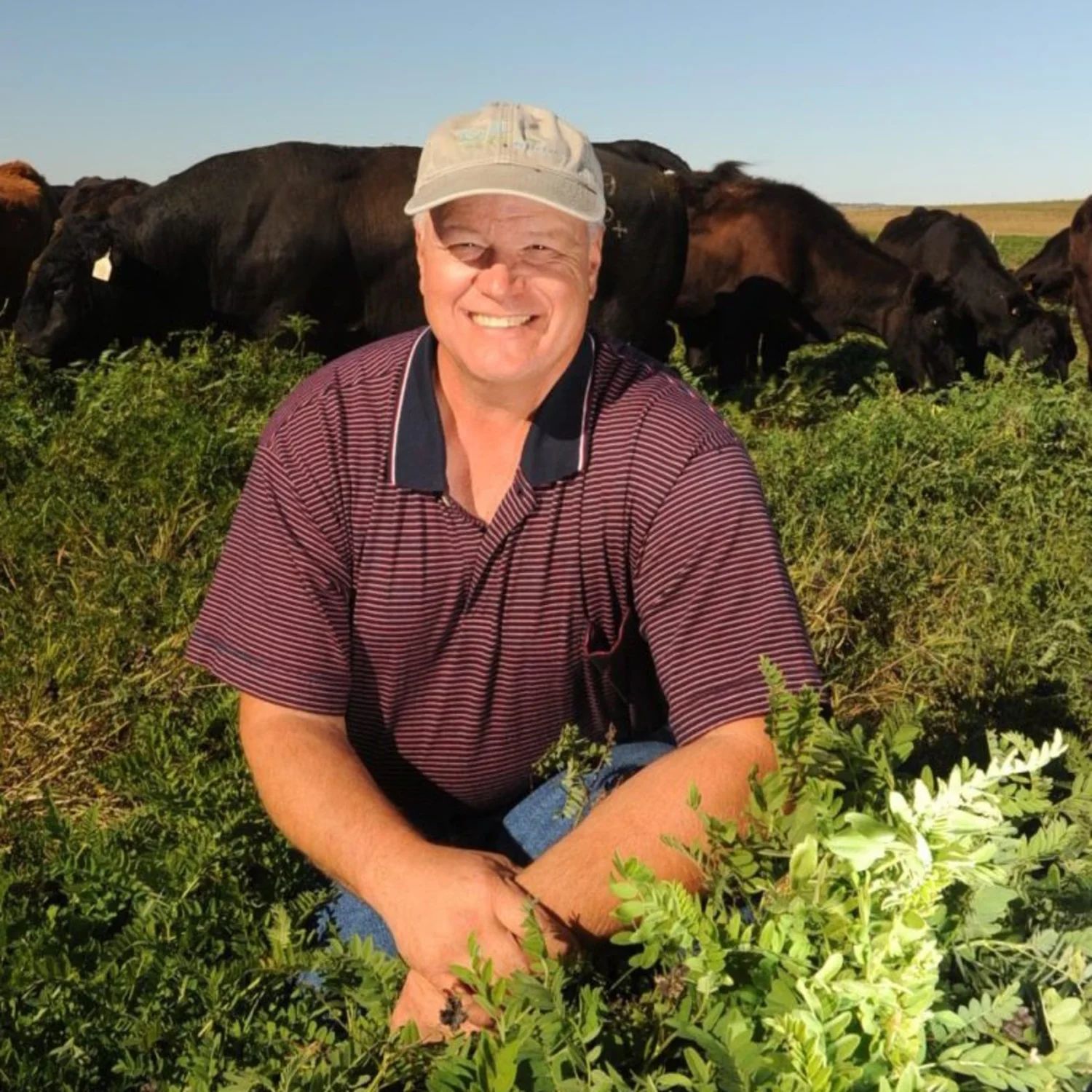 2024 — Roger Scruton Legacy Foundation