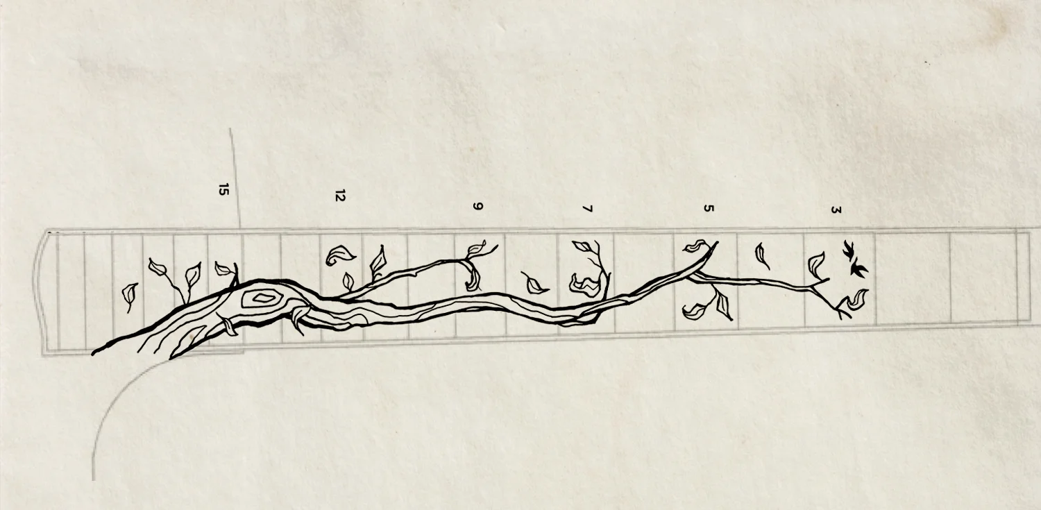 Guitar Fretboard Design