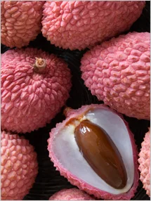 Lychee — California Tropical Fruit Tree Nursery