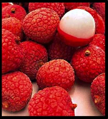 Lychee — California Tropical Fruit Tree Nursery