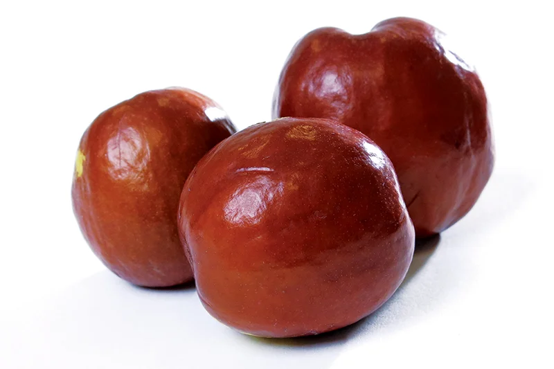 Jujube Trees for Sale in Southern California — California Tropical ...