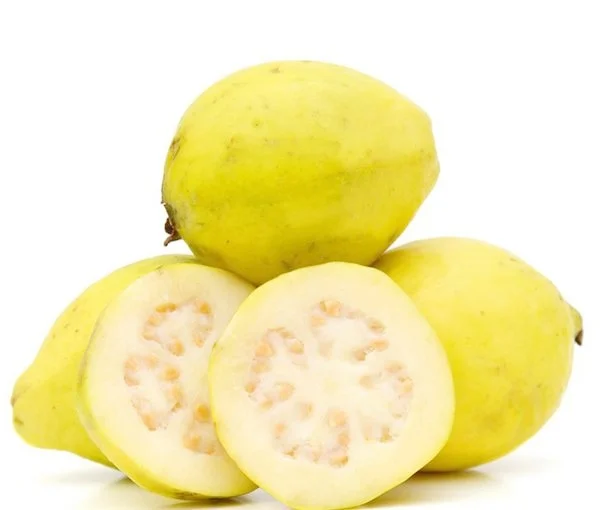 Guava Trees for Sale in Southern California — California Tropical Fruit ...