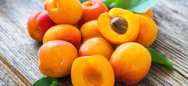 Apricot Tree for Sale in Southern California — California Tropical ...