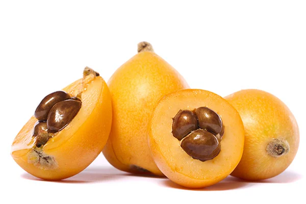 Loquat Trees for Sale in Southern California — California Tropical ...