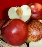 Nectarine Trees for Sale in Southern California — California Tropical ...