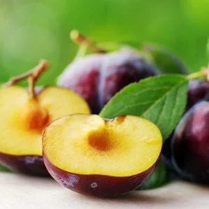 Plumcot — California Tropical Fruit Tree Nursery