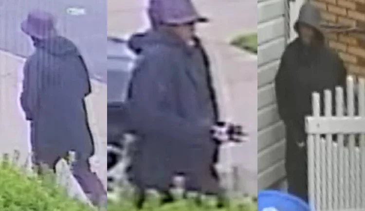 Cops Release Chilling Video of St. Albans Murder Suspect — Queens Daily ...