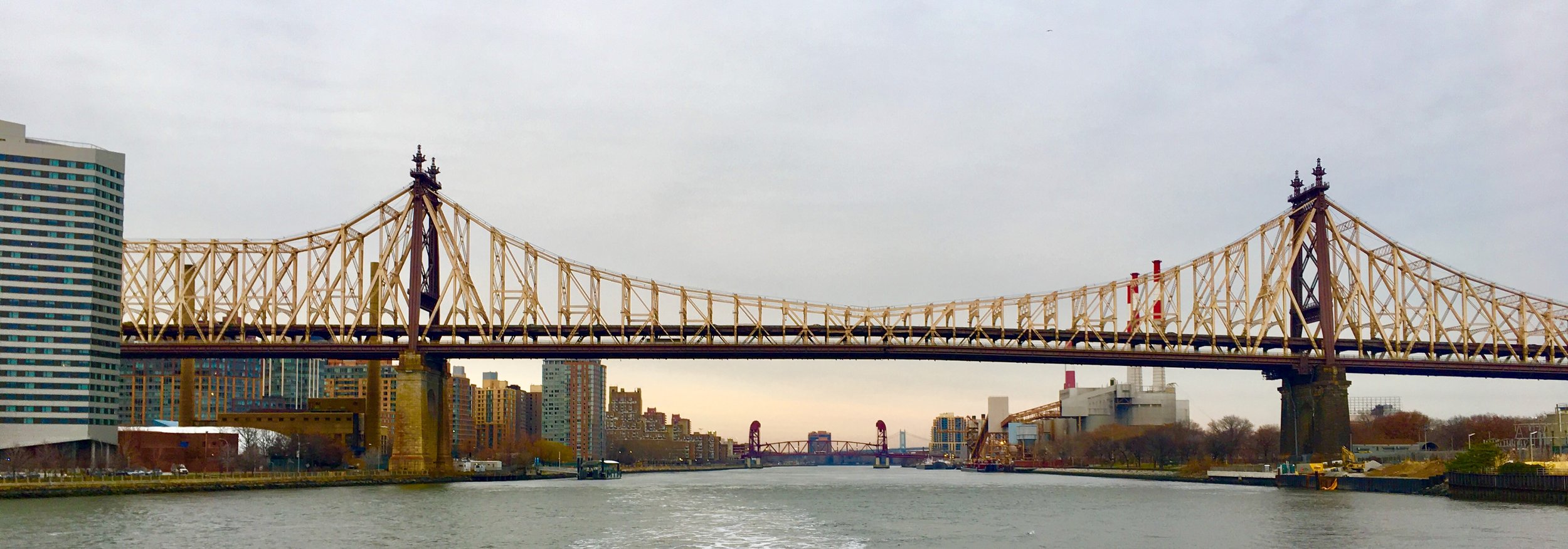 110 years old and still ‘Feelin’ Groovy’ — Queens Daily Eagle