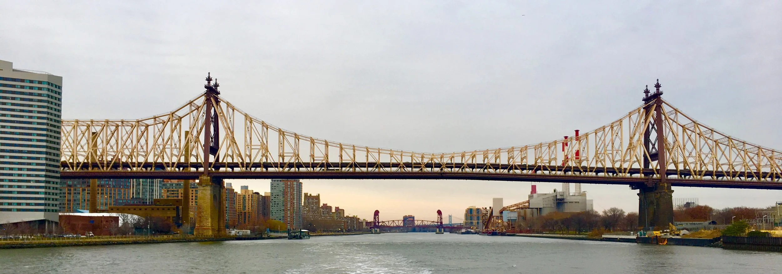 110 years old and still ‘Feelin’ Groovy’ — Queens Daily Eagle